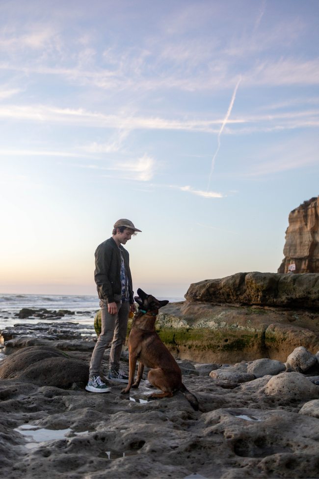 About Us - Sound Canine Seattle Dog Training